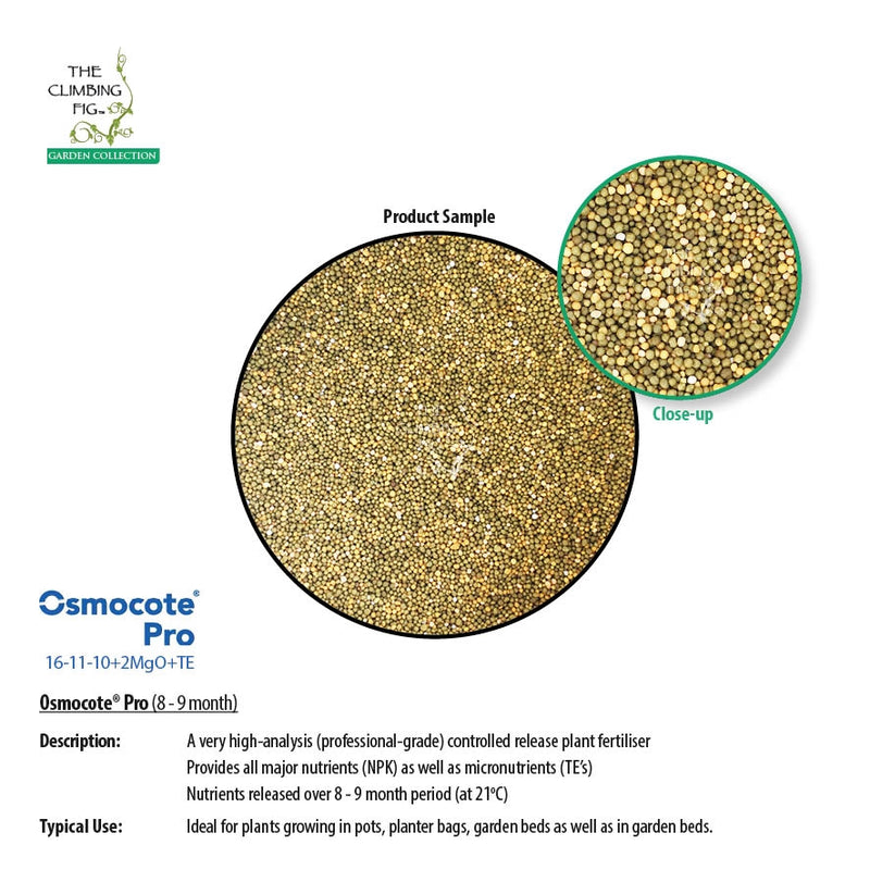 Osmocote Pro 8-9 Month Controlled Slow Release High-Analysis Fertilise ...