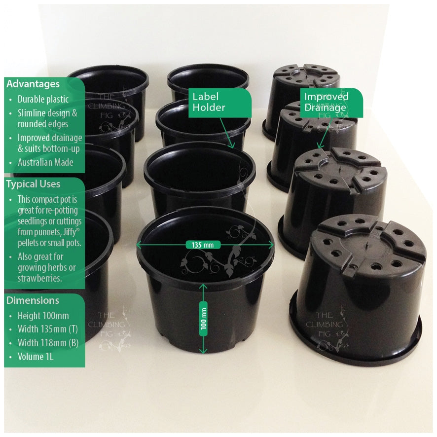 140mm Squat BLACK Plastic Pots. For potting seedlings, garden plants ...