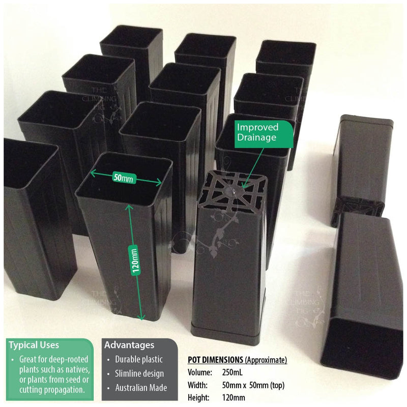 50mm Native Square BLACK Plastic Tube Pots, Deep Forestry Tubestock ...